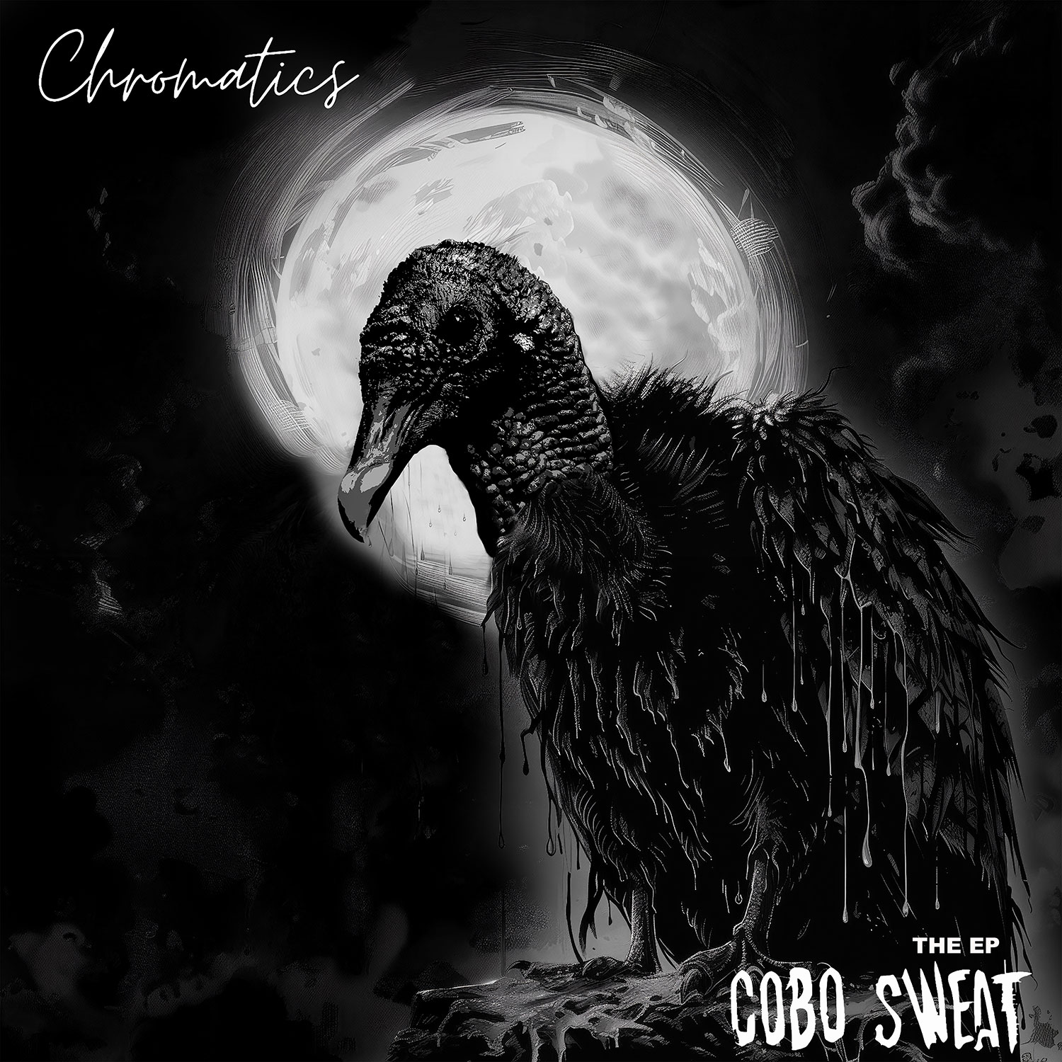 Chromatics Music — Chromatics…the artist…the studio…the way forward.